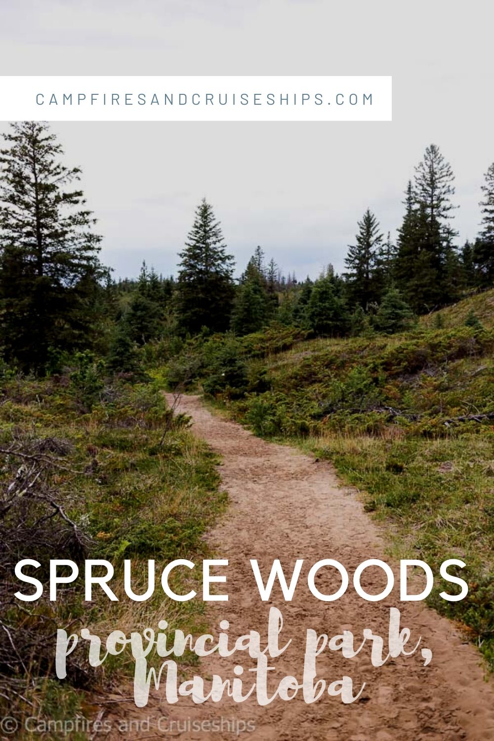 Spruce Woods Provincial Park - VIDEO - Campfires and Coastlines